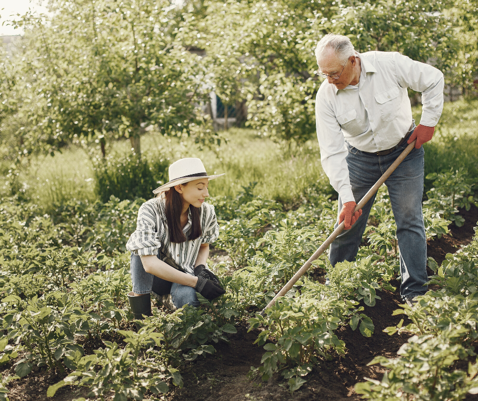 5 Exercises to Get Ready for Gardening and Yard Work Season – Sandvi Studio